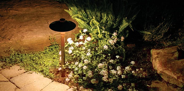 Professional Landscape Lighting Tips